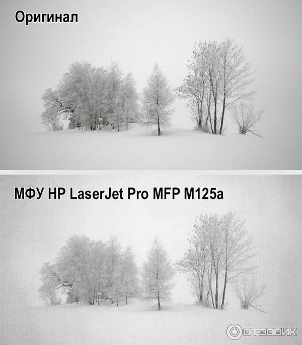 Отзыв о Лазерное МФУ HP LaserJet Pro MFP M125a | Простое, удобное, но ...